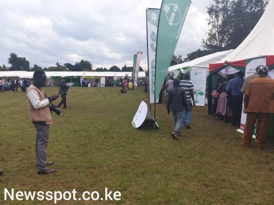 Kitale national polytechnic courses portal and how to apply » newsspot ...