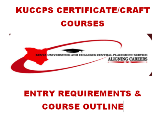 Internet based programming IBP notes pdf » newsspot.co.ke